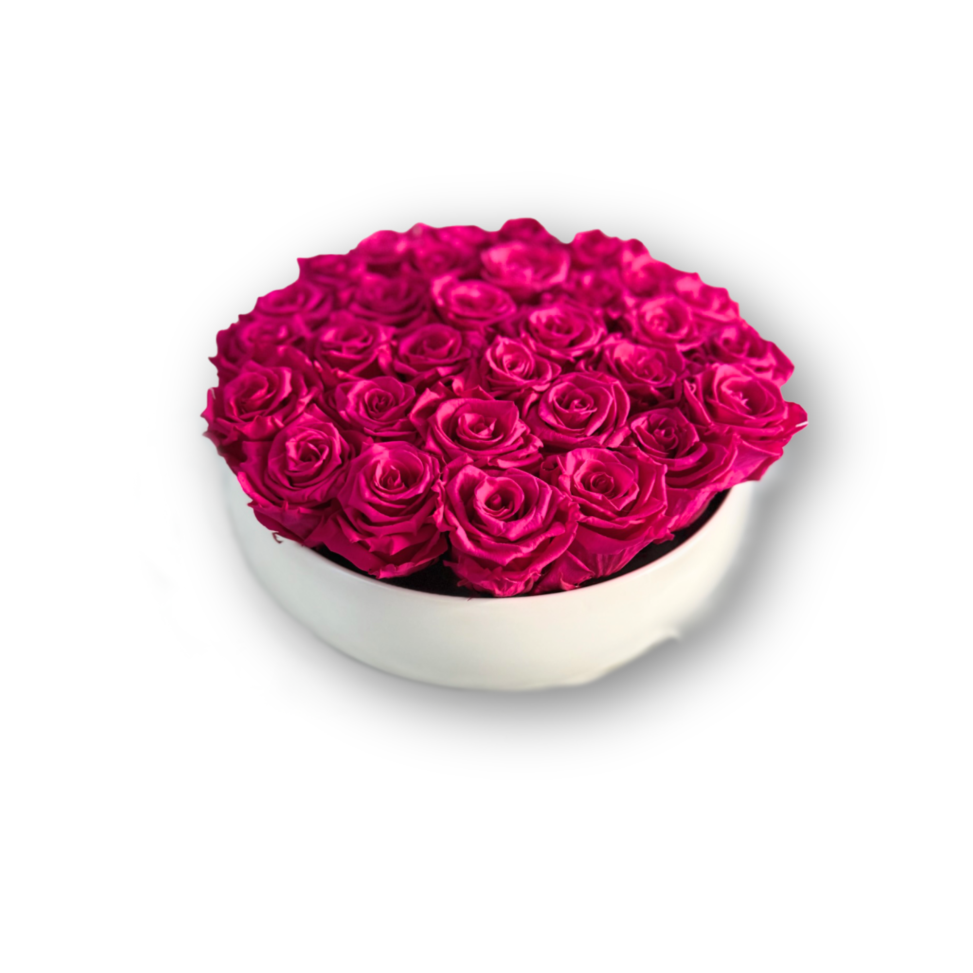 Forever Rose Collection – Skye Flowers Design